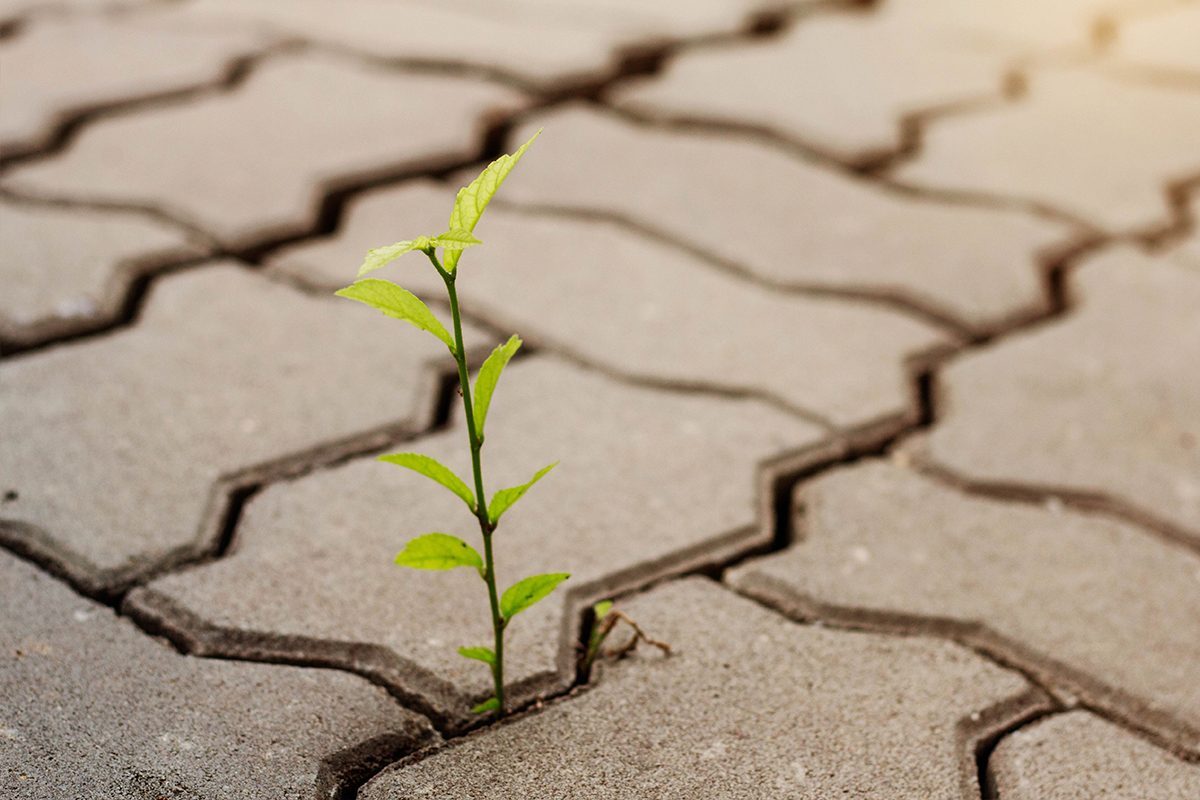 How to Develop a Resilient Mindset in the Face of Failures | ICF ...